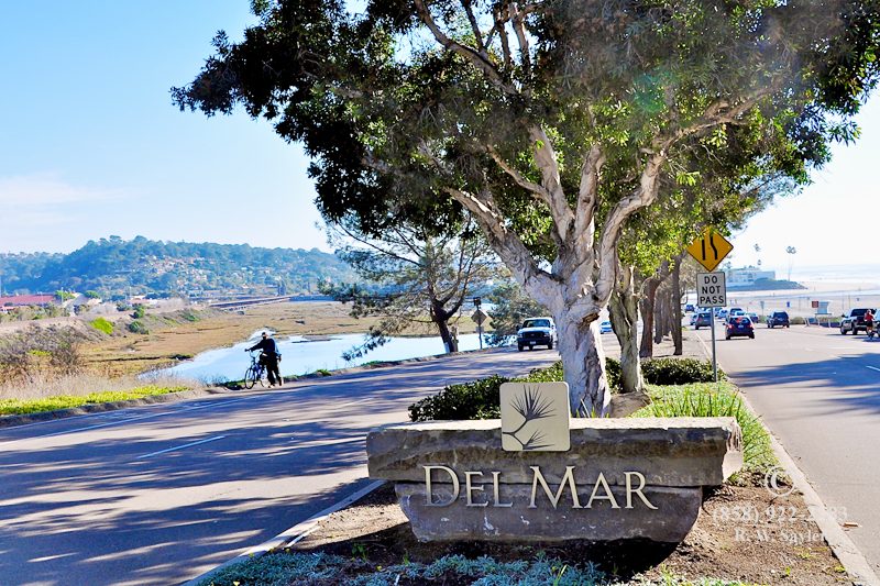 The Top Reasons Why You Should Move to Del Mar, CA - Best Fit Movers