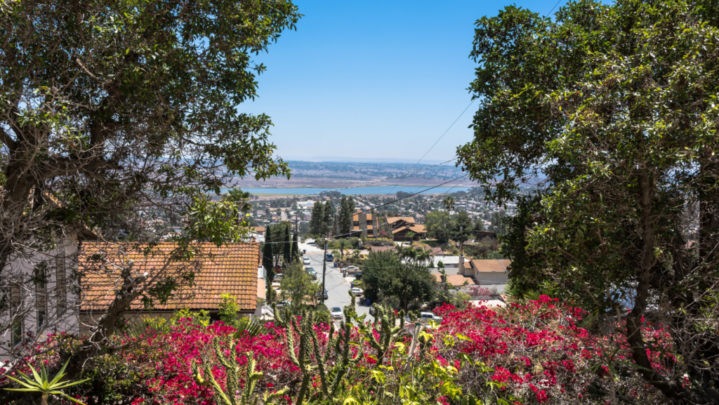 Tips For Moving Your Large Family to Spring Valley | Best Fit Movers